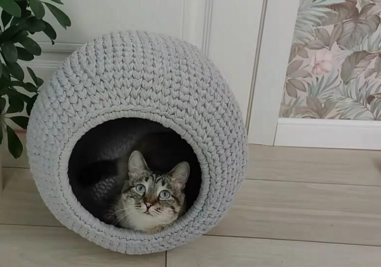 Crochet cat basket - Pattern - CURIOSODAWEB.COM